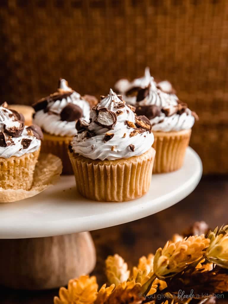 20 + Must Make Fall Cupcakes - House of Yumm