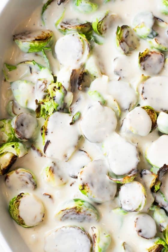 Creamy Brussels Sprouts - House of Yumm