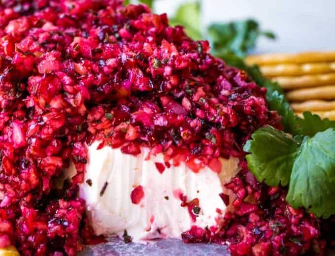 Cranberry Salsa-The PERFECT Holiday Appetizer! - House of Yumm