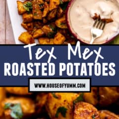 Tex Mex Roasted Potatoes - House of Yumm