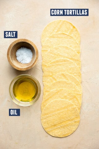 Homemade Tostadas - House of Yumm