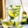 10 Best Summer Cocktail Recipes - House of Yumm